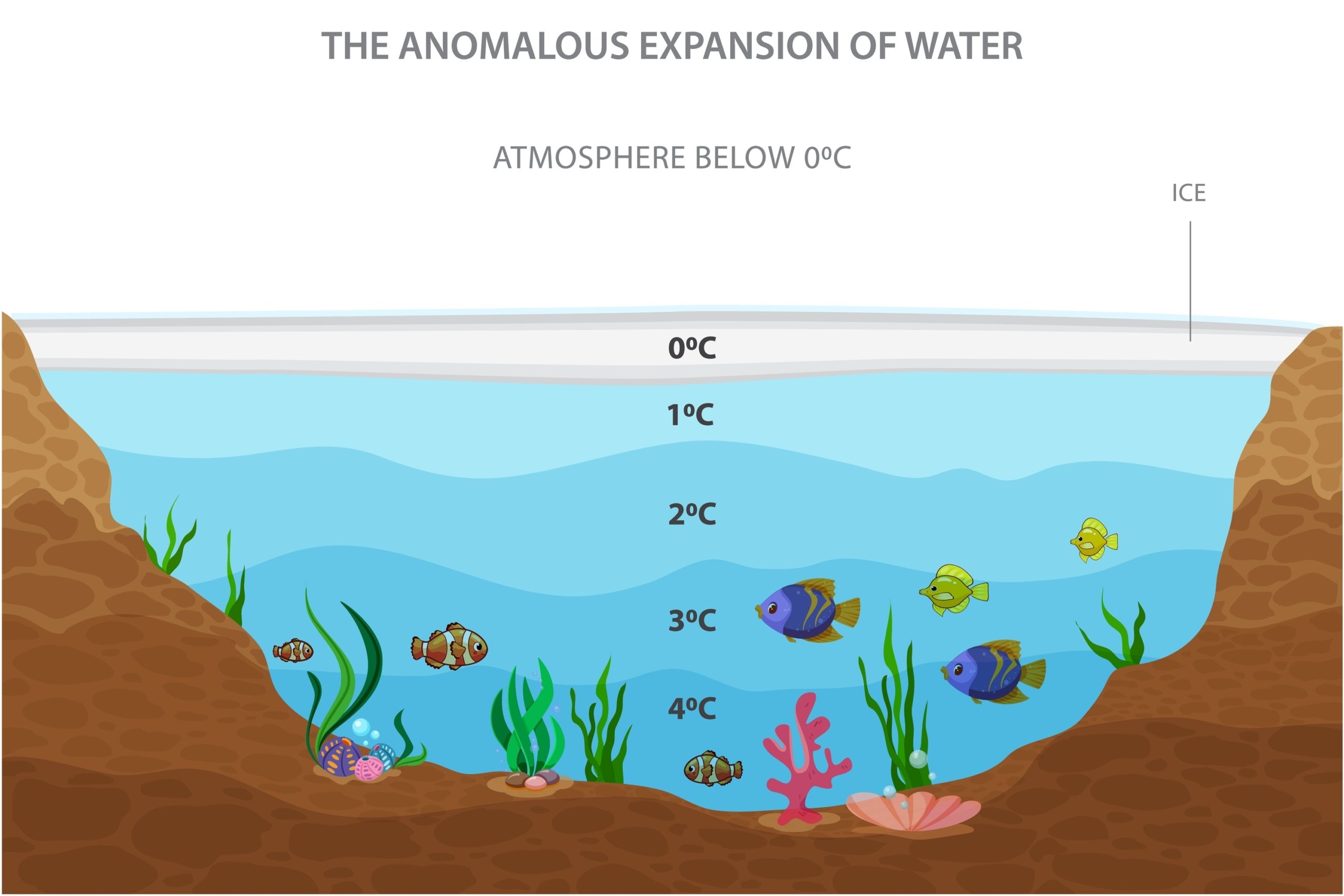Die Anomalie des Wassers - Mühlwaldertal